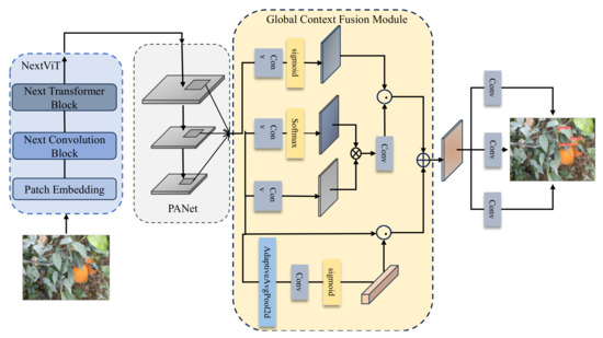 AG-YOLO: A Rapid Citrus Fruit Detection Algorithm with Global Context Fusion