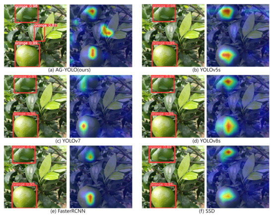 Ag Yolo A Rapid Citrus Fruit Detection Algorithm With Global Context Fusion