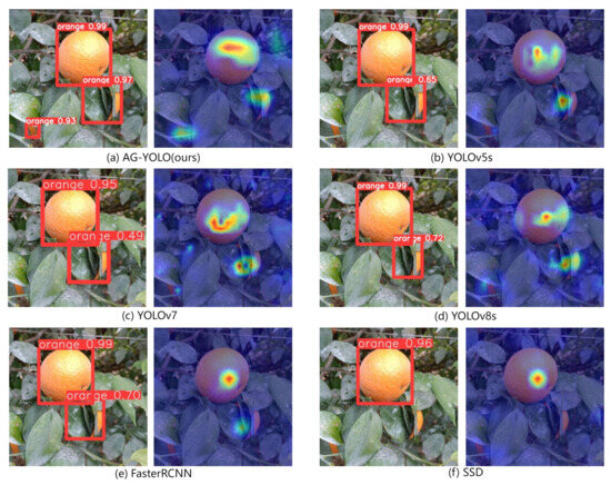 Ag Yolo A Rapid Citrus Fruit Detection Algorithm With Global Context Fusion