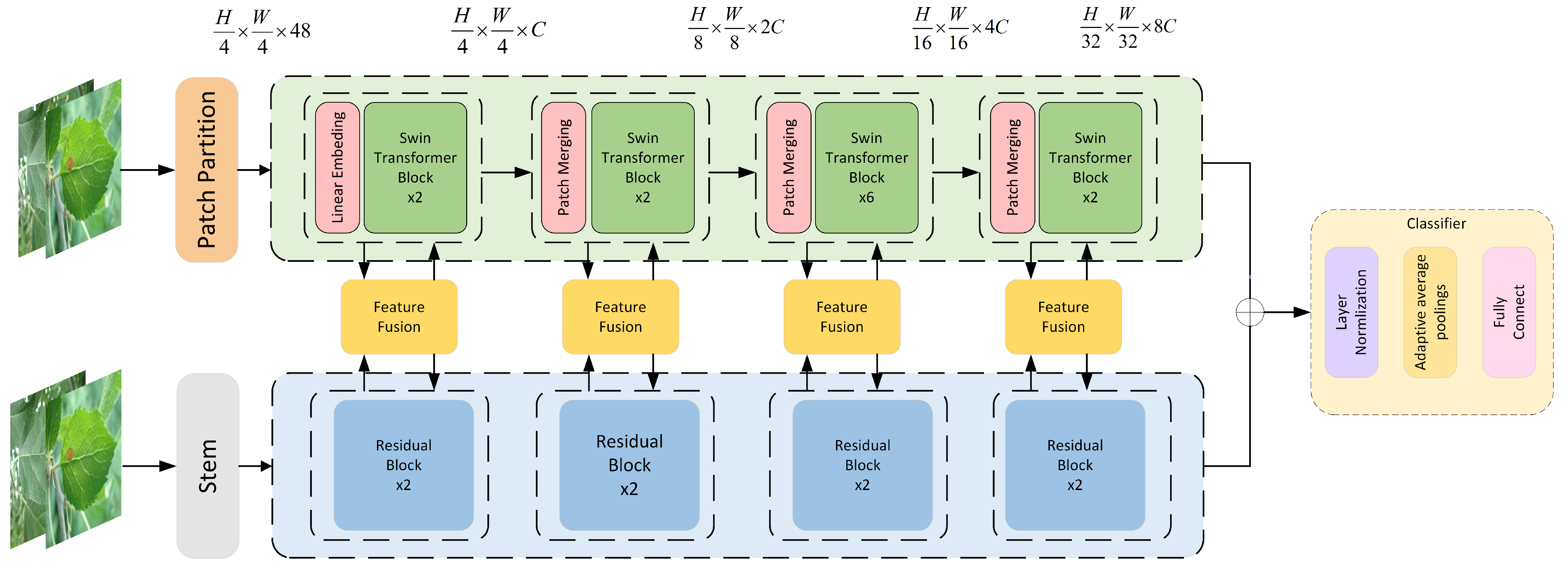 Agriculture | Free Full-Text | A Dual-Branch Model Integrating CNN and Swin Transformer for ...