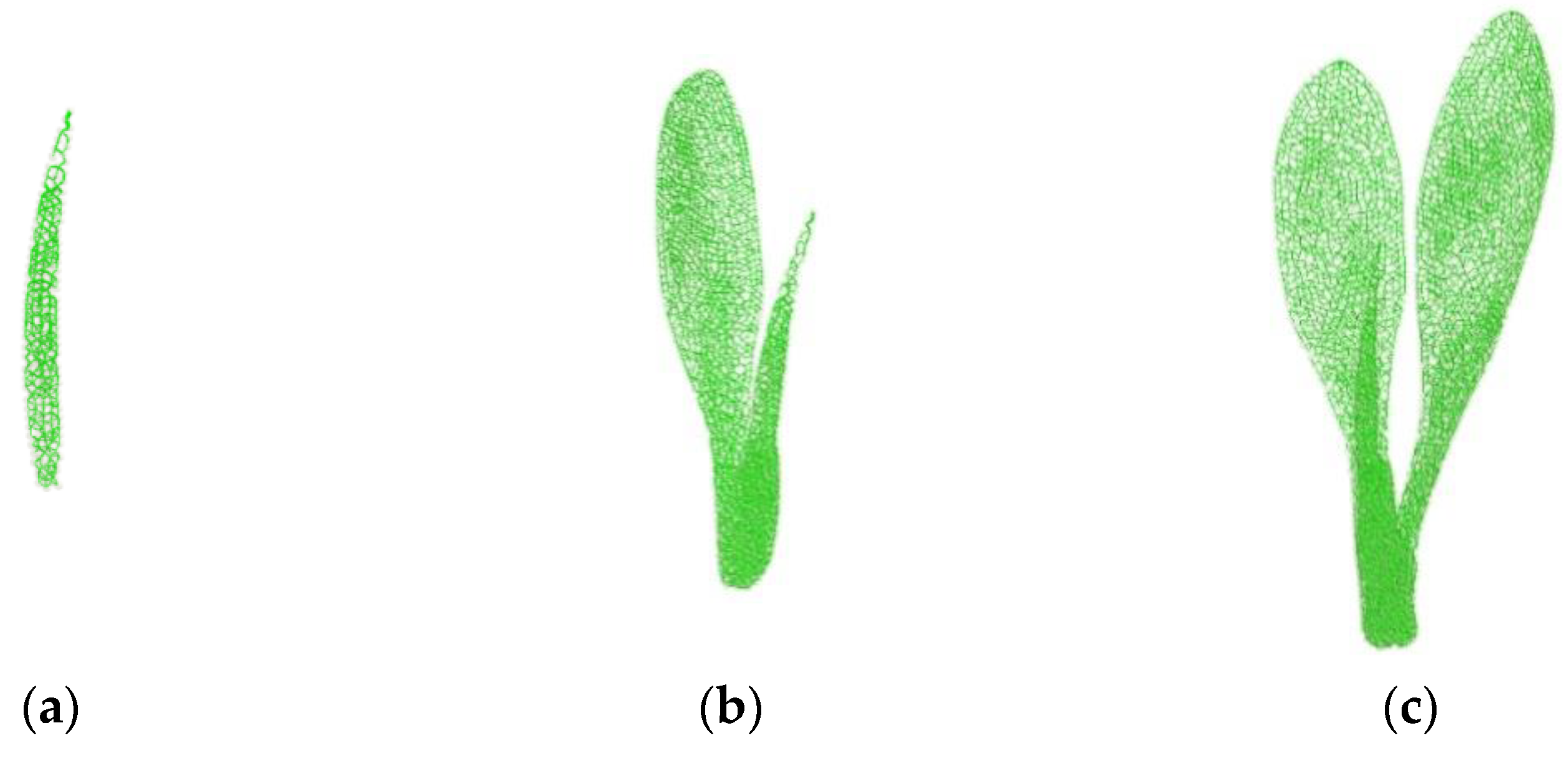Calibration of Simulation Parameters for Fresh Tea Leaves Based on the Discrete Element Method