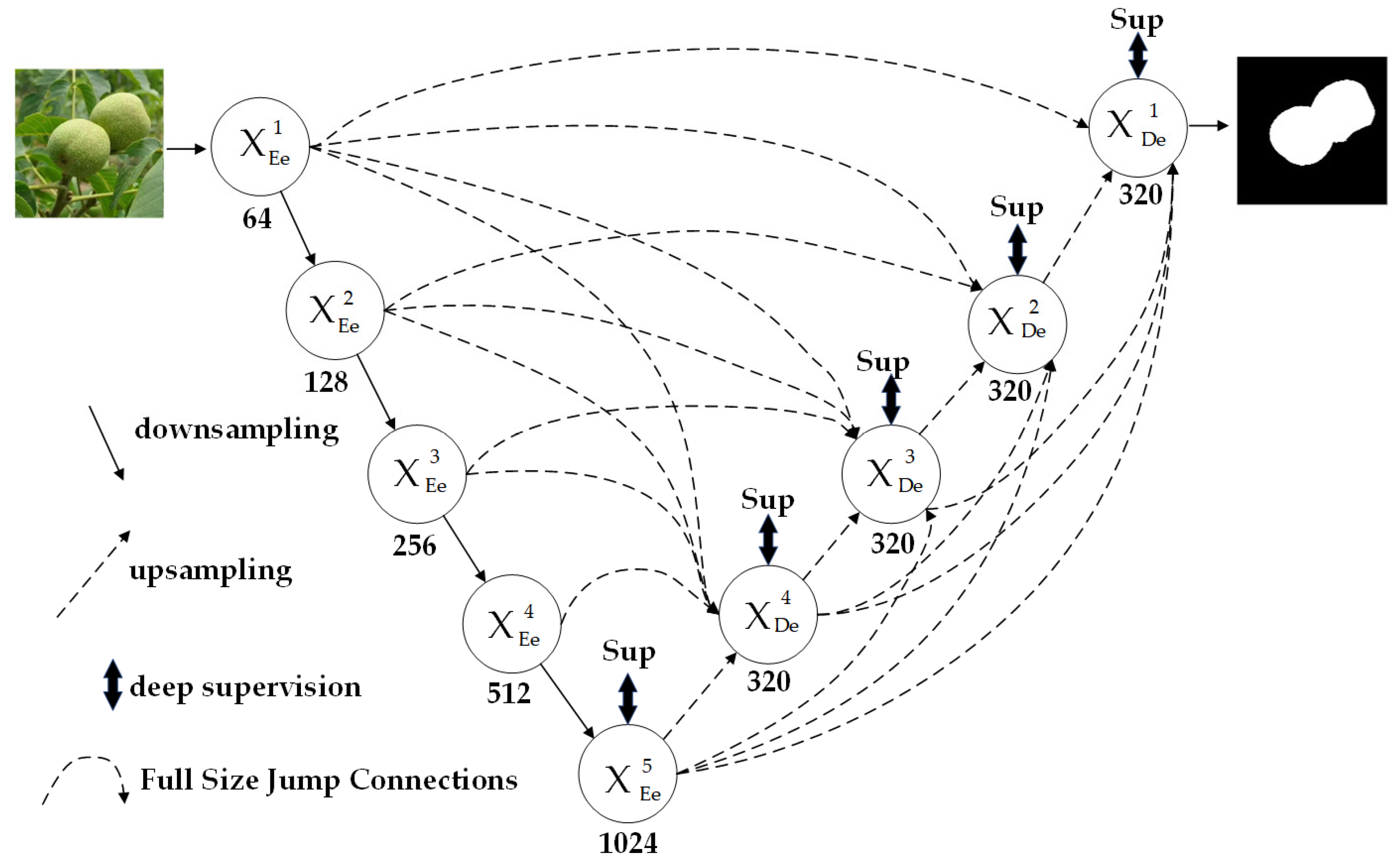 Improving Walnut Images Segmentation Using Modified UNet3+ Algorithm