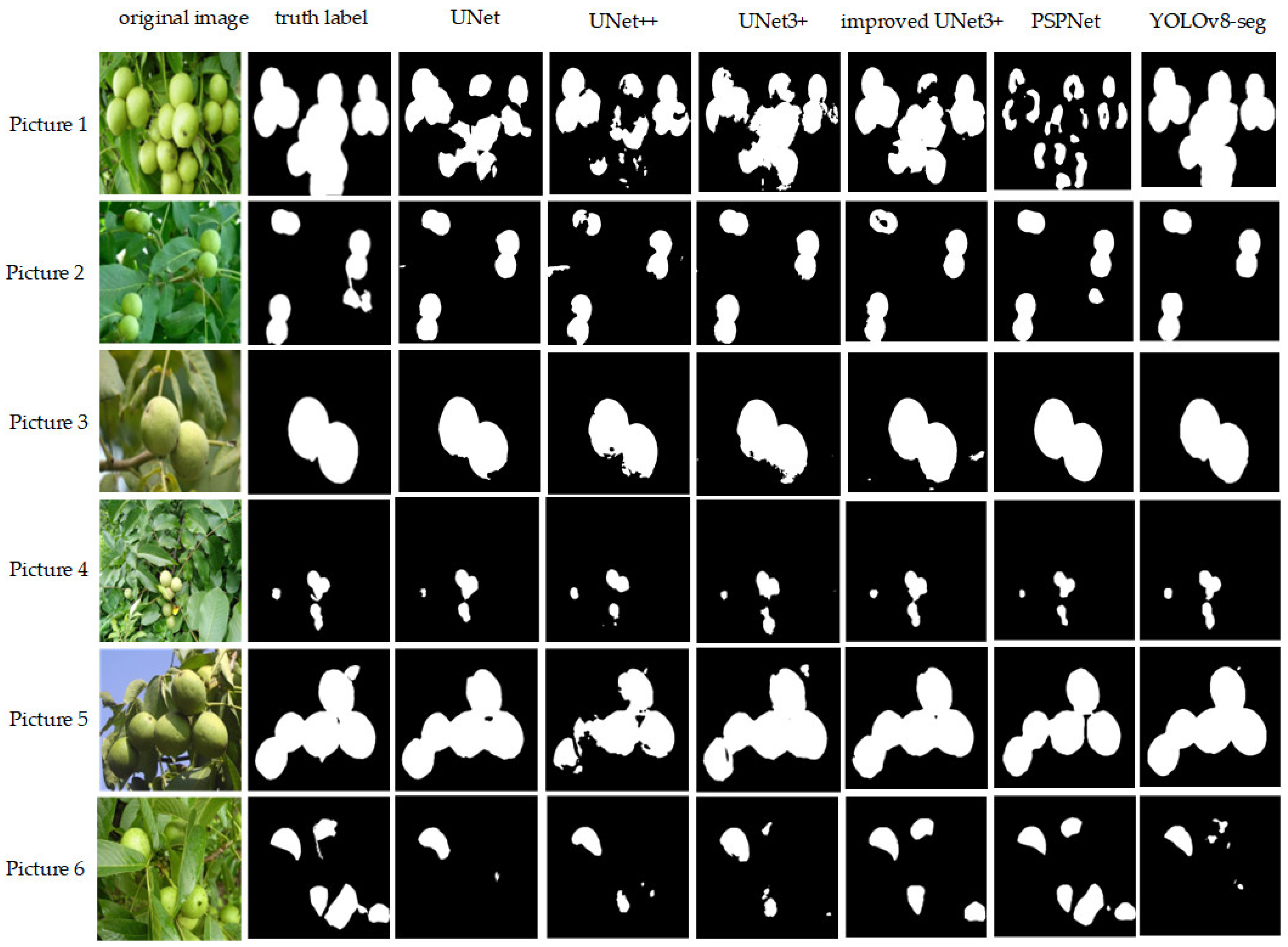 Improving Walnut Images Segmentation Using Modified UNet3+ Algorithm