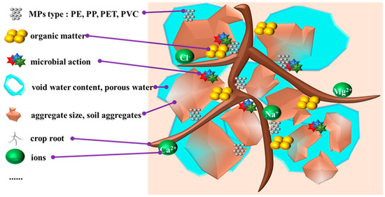 Agriculture | Free Full-Text | Characteristics and Migration Dynamics of Microplastics in ...