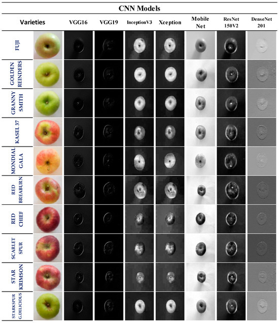 Apple Varieties Classification Using Deep Features and Machine Learning