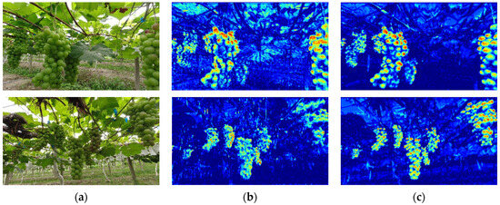 An Unstructured Orchard Grape Detection Method Utilizing YOLOv5s