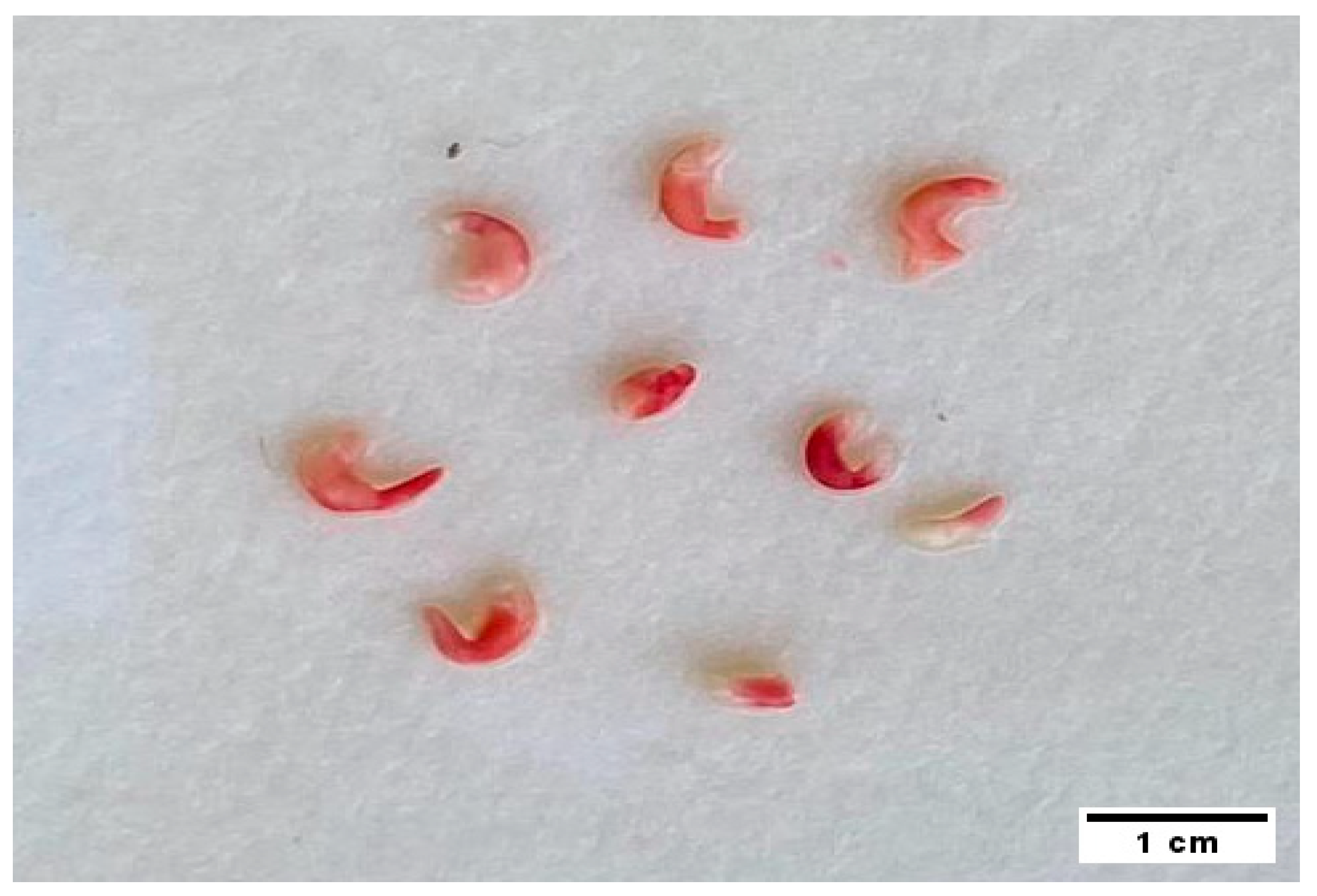 Seed Dormancy Dynamics and Germination Characteristics of Malva ...