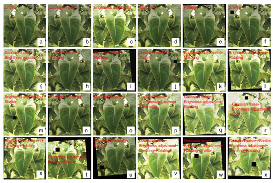 A Lightweight Algorithm for Recognizing Pear Leaf Diseases in Natural ...
