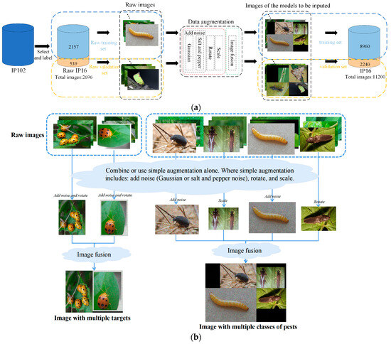 Agriculture Free Full Text A Novel Crop Pest Detection Model Based On Yolov5