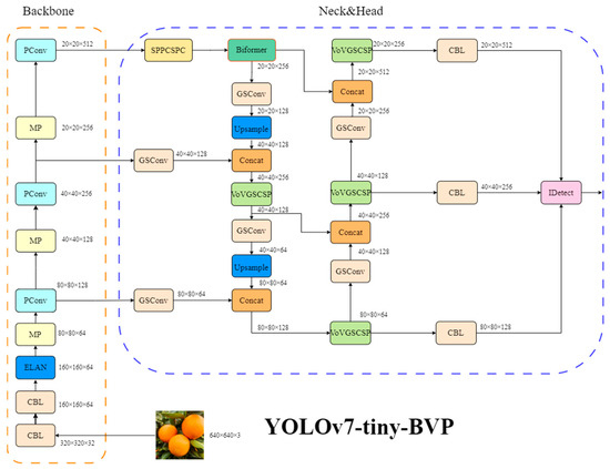 Agriculture | Free Full-Text | Optimizing the YOLOv7-Tiny Model with Multiple Strategies for ...