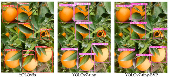 Agriculture | Free Full-Text | Optimizing the YOLOv7-Tiny Model with Multiple Strategies for ...