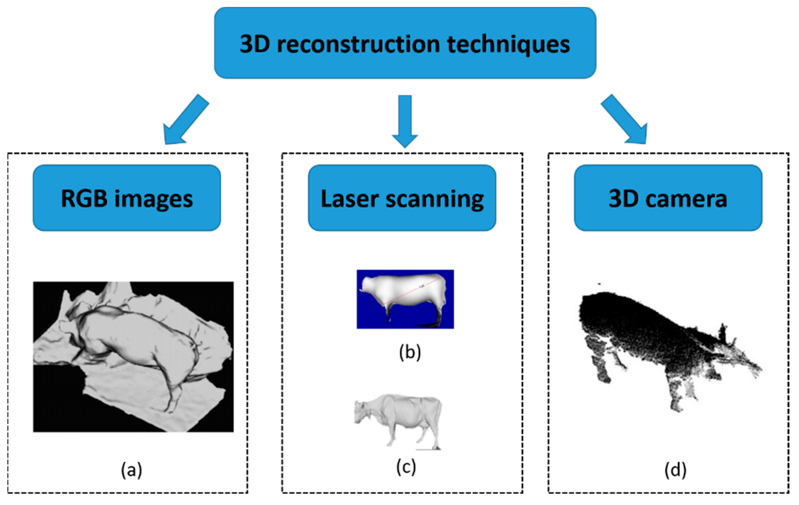 Agriculture Free Full Text Computer Vision Based Measurement