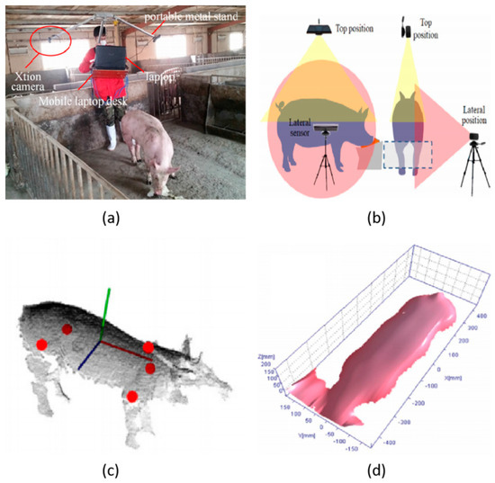 Agriculture Free Full Text Computer Vision Based Measurement