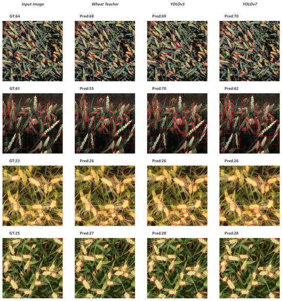 Wheat Teacher: A One-Stage Anchor-Based Semi-Supervised Wheat Head ...