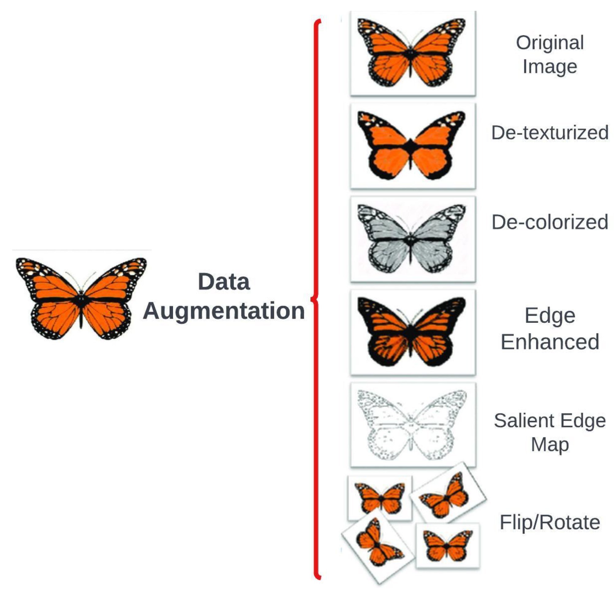 Maturity Recognition and Fruit Counting for Sweet Peppers in ...