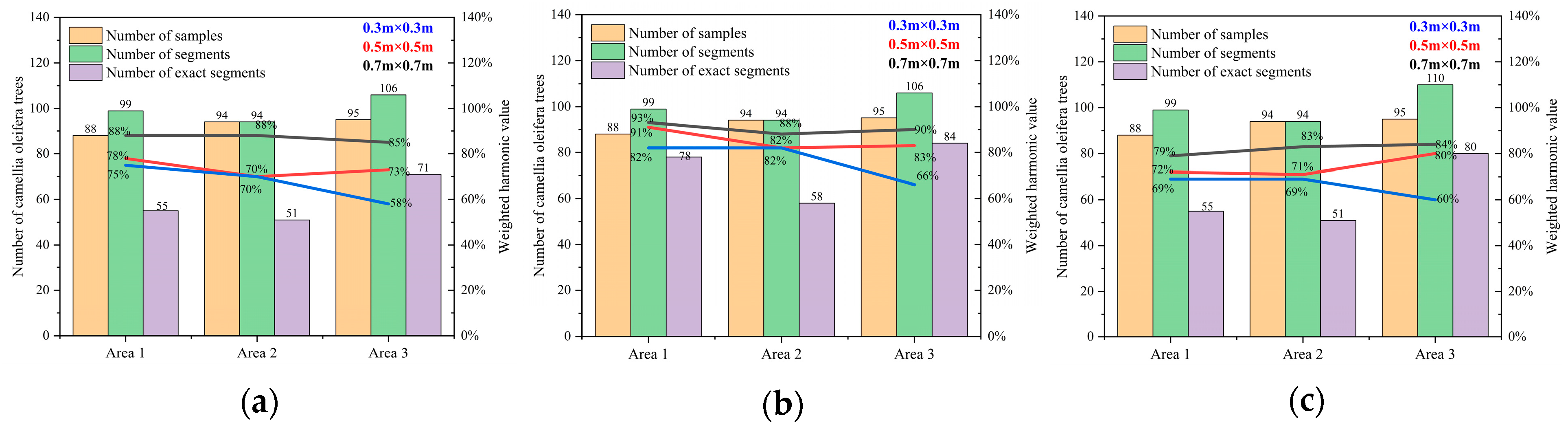 Agriculture | Free Full-Text | Research on Individual Tree Canopy Segmentation of Camellia ...