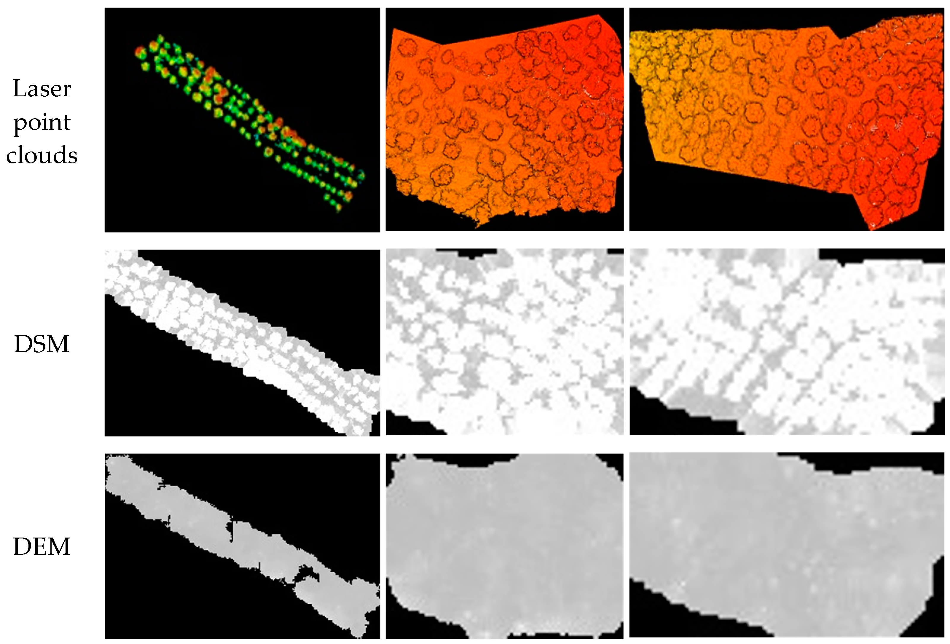 Agriculture | Free Full-Text | Research on Individual Tree Canopy Segmentation of Camellia ...