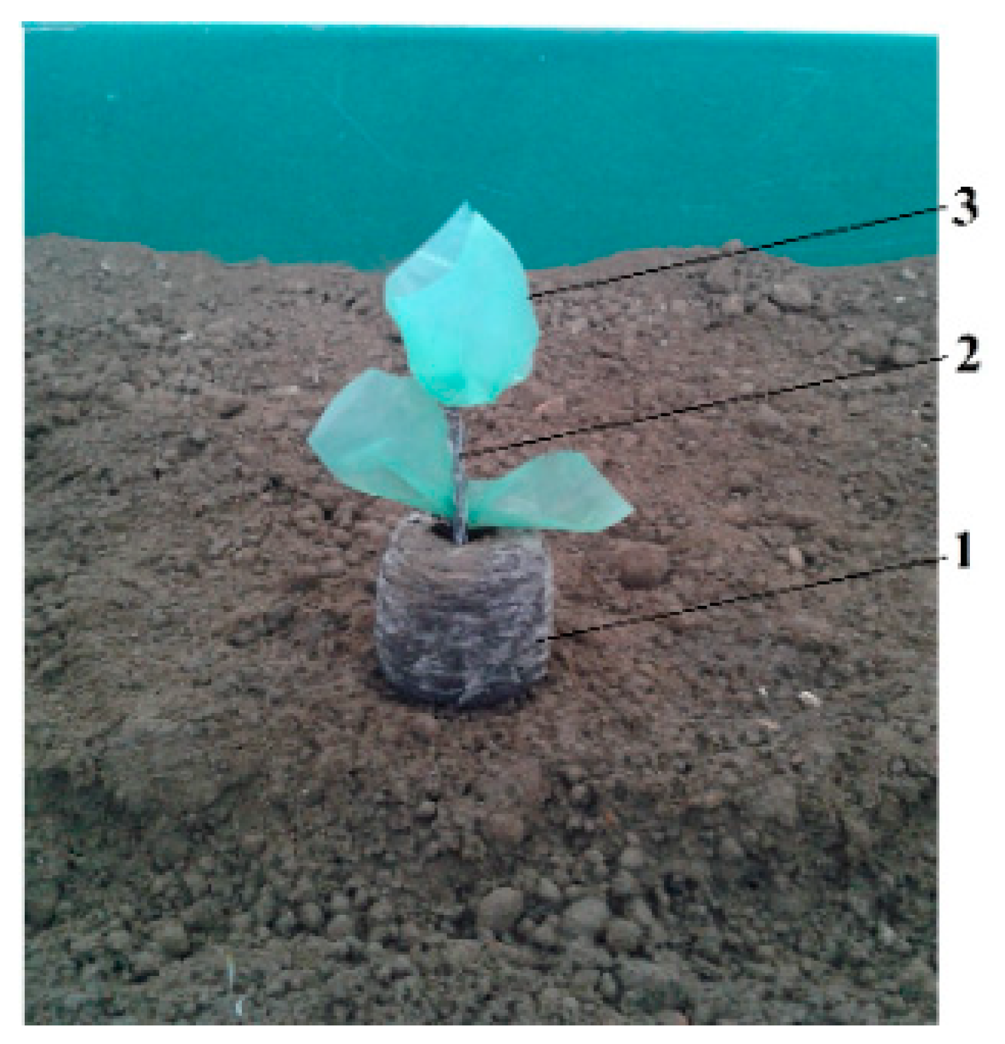 Agriculture | Free Full-Text | Evaluation of the Functional Parameters ...