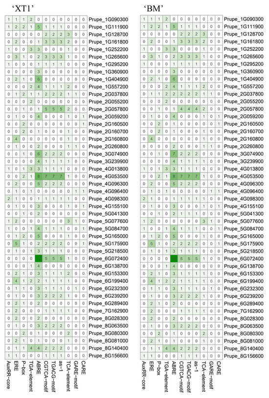 Comparative Transcriptome Analysis Provides Insights into Fruit ...