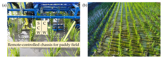 A Combined Paddy Field Inter-Row Weeding Wheel Based on Display Dynamics Simulation Increasing ...