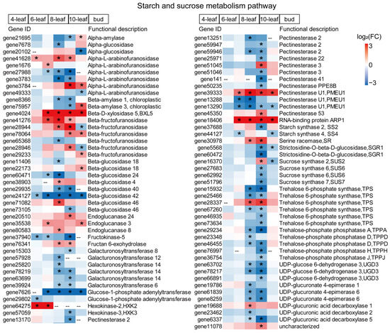Transcriptomics Reveal an Integrated Gene Regulation Network of Early ...