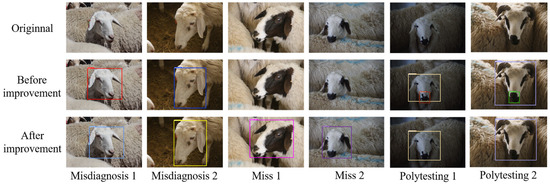 Lightweight Small-Tailed Han Sheep Facial Recognition Based on Improved SSD Algorithm