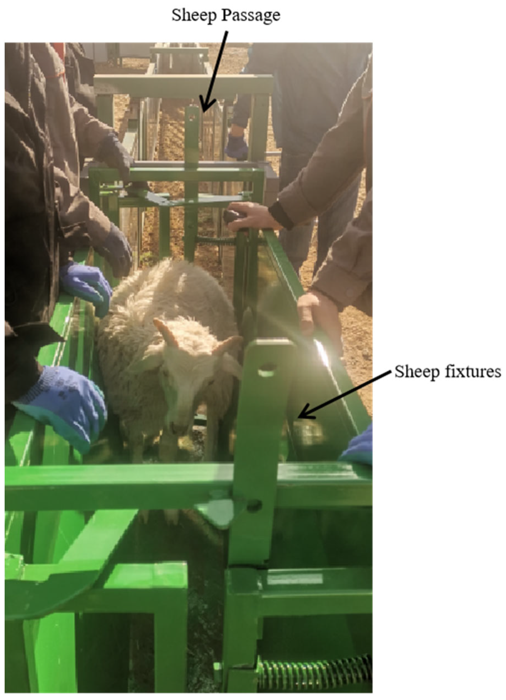 Lightweight Small-Tailed Han Sheep Facial Recognition Based on Improved SSD Algorithm