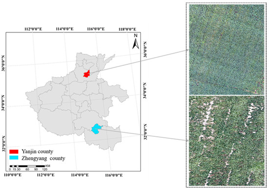 Estimation of Peanut Southern Blight Severity in Hyperspectral Data ...