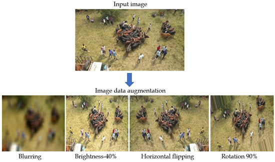 Analysis of Various Machine Learning Algorithms for Using Drone Images in Livestock Farms
