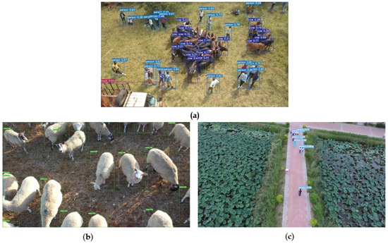 Analysis of Various Machine Learning Algorithms for Using Drone Images in Livestock Farms