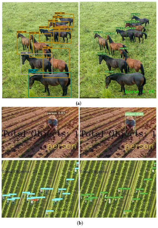 Analysis of Various Machine Learning Algorithms for Using Drone Images in Livestock Farms