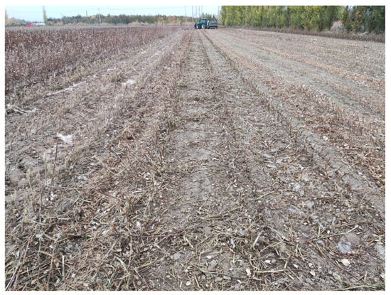 Optimization Design and Experiment of a Cotton Straw-Crushing Device ...