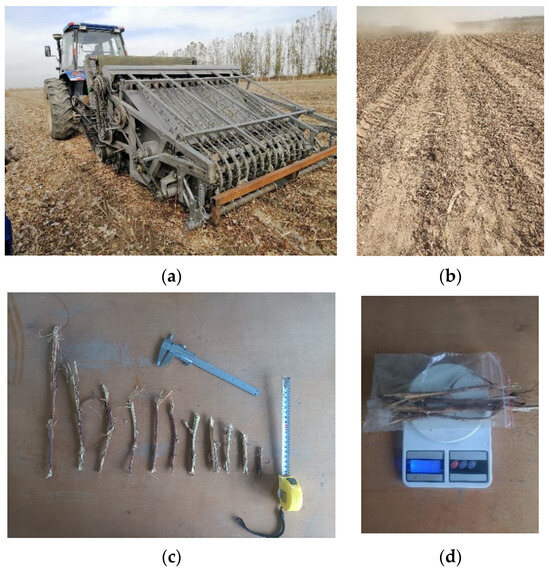 Optimization Design and Experiment of a Cotton Straw-Crushing Device ...