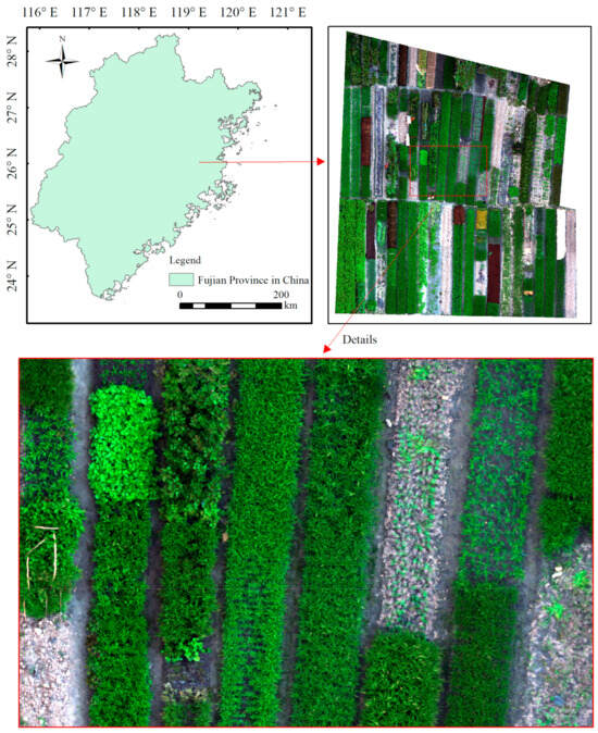 Crop Classification Combining Object-Oriented Method and Random Forest ...