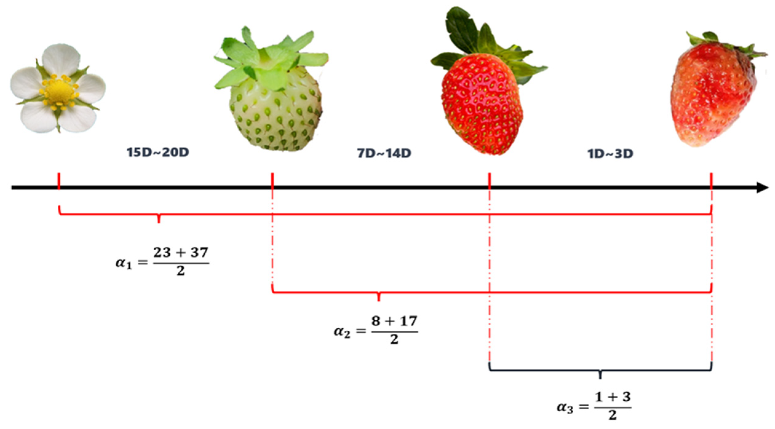 Assisting the Planning of Harvesting Plans for Large Strawberry Fields ...