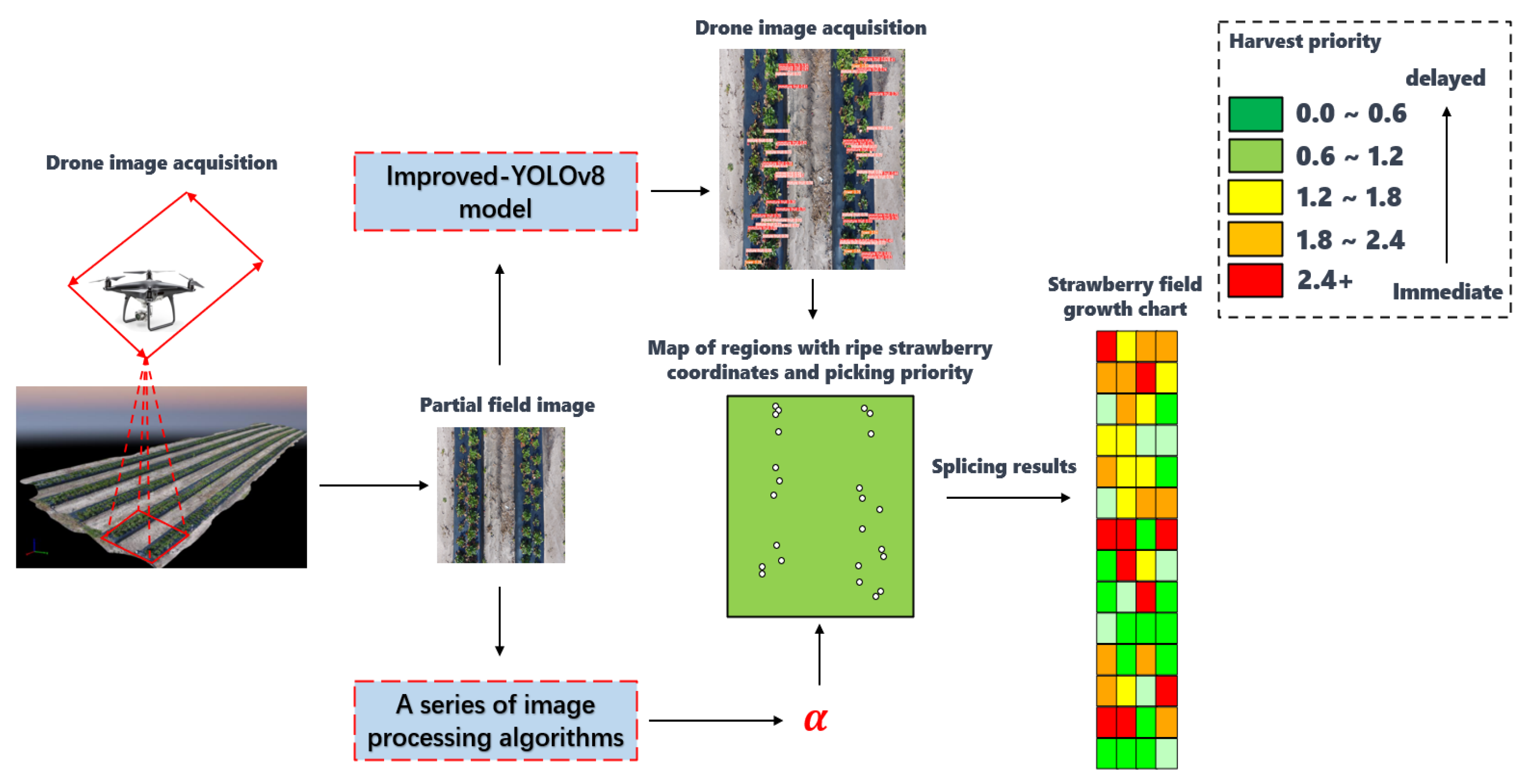 Assisting the Planning of Harvesting Plans for Large Strawberry Fields through Image-Processing ...