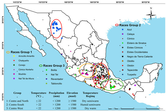 Physical Traits and Phenolic Compound Diversity in Maize Accessions ...