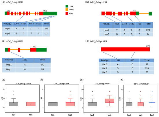 Agriculture | Free Full-Text | The Identification of Drought Tolerance ...