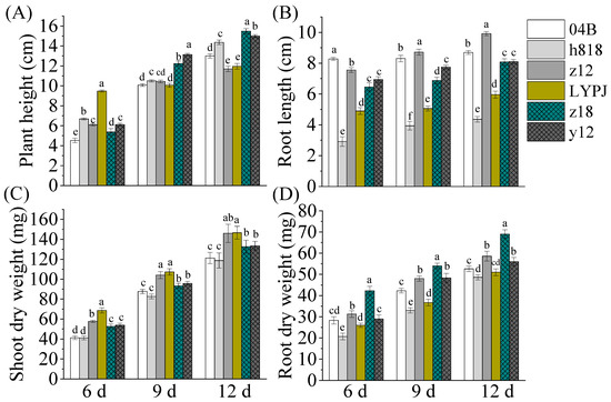 Preliminary Exploration of Physiology and Genetic Basis Underlying High ...