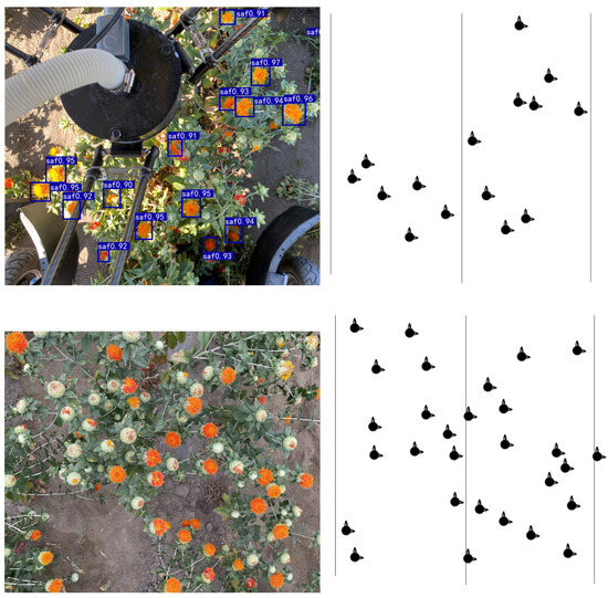 Safflower Picking Trajectory Planning Strategy Based on an Ant Colony ...