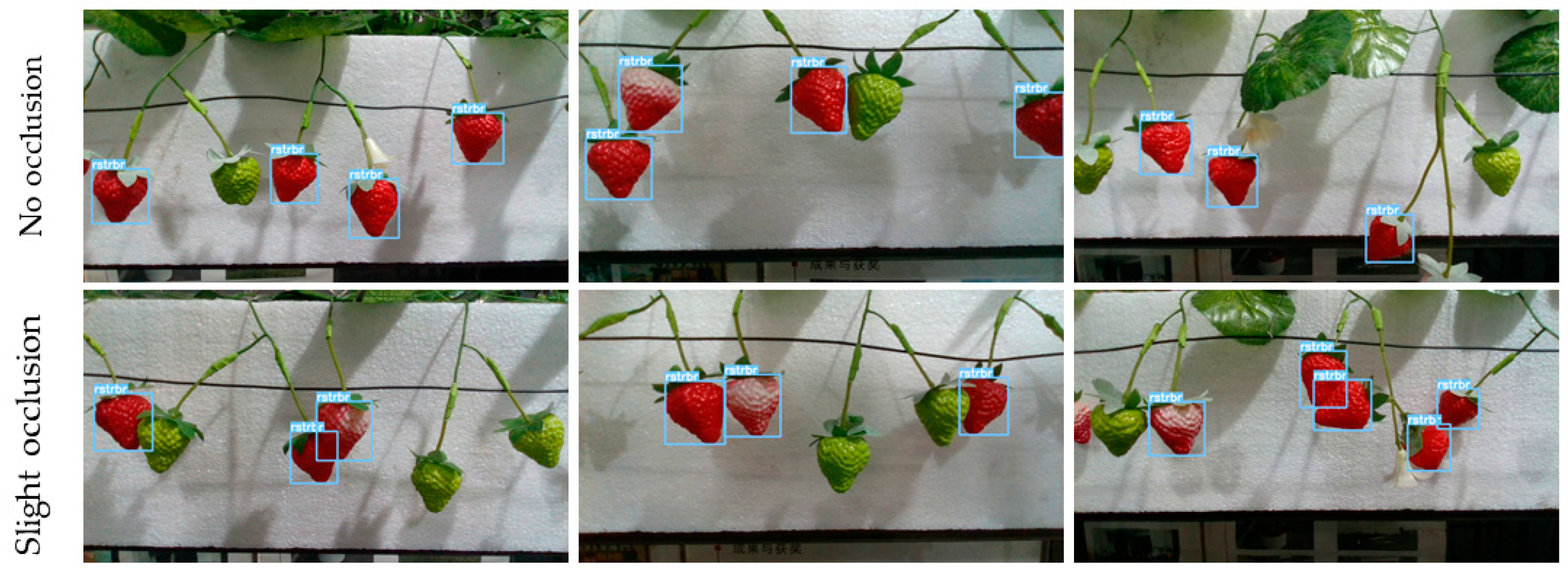 Recognition and Positioning of Strawberries Based on Improved YOLOv7 and RGB-D Sensing