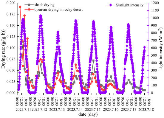 Effects of Different Natural Drying Methods on Drying Characteristics ...