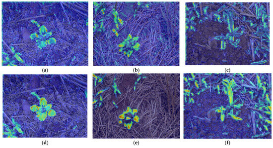 Analysis of the Impact of Different Improvement Methods Based on YOLOV8 ...