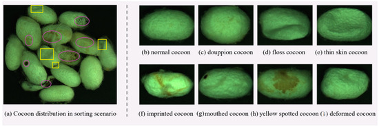 Fine-Grained Detection Model Based on Attention Mechanism and Multi ...