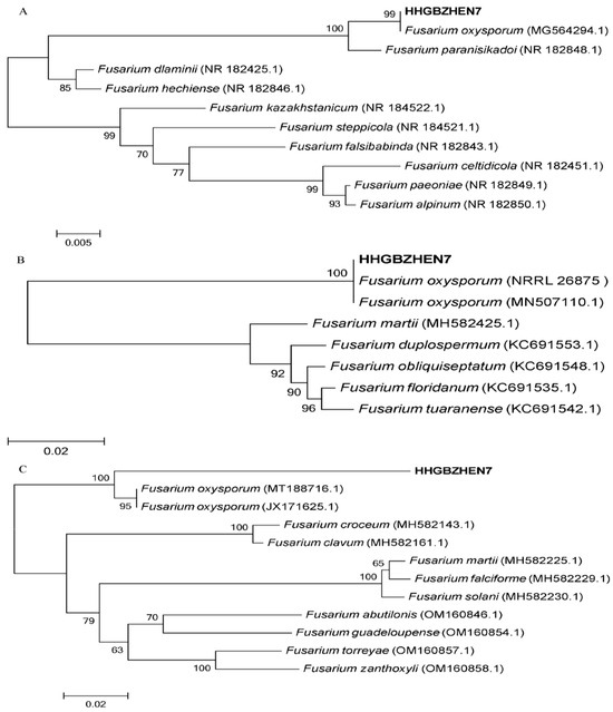 A Comparative Analysis of Microbial Communities in the Rhizosphere Soil and Plant Roots of ...