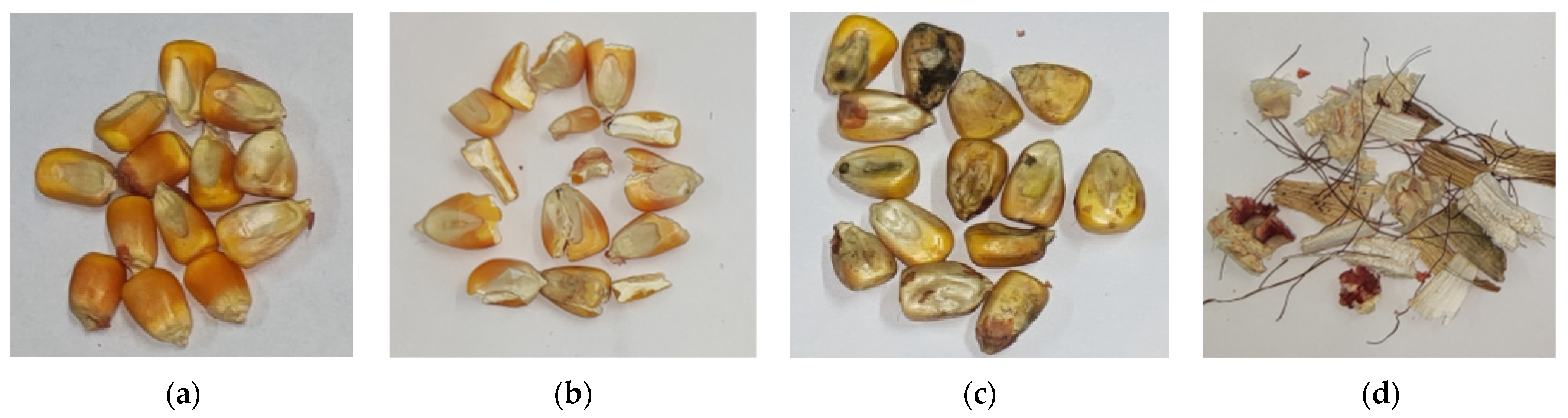 Agriculture | Free Full-Text | Real-Time Detection Technology of Corn Kernel Breakage and Mildew ...