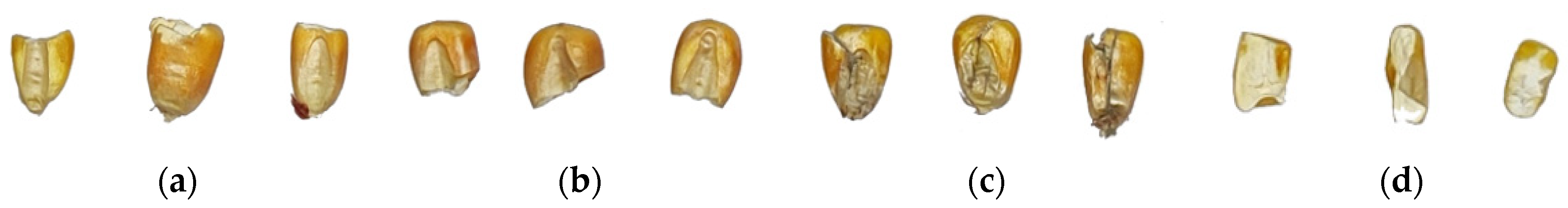 Agriculture | Free Full-Text | Real-Time Detection Technology of Corn Kernel Breakage and Mildew ...