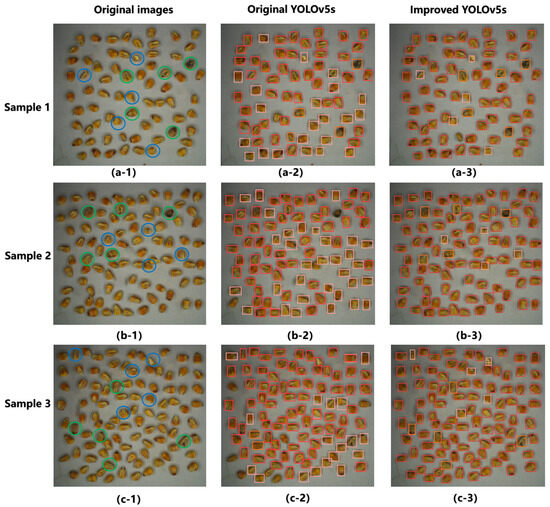 Real-Time Detection Technology of Corn Kernel Breakage and Mildew Based on Improved YOLOv5s