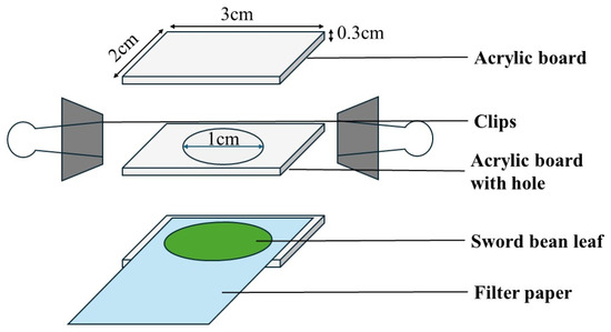 Effects of Prey Switching at Different Stages on Life Parameters of ...