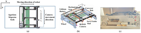 Improved Real-Time Models for Object Detection and Instance Segmentation for Agaricus bisporus ...